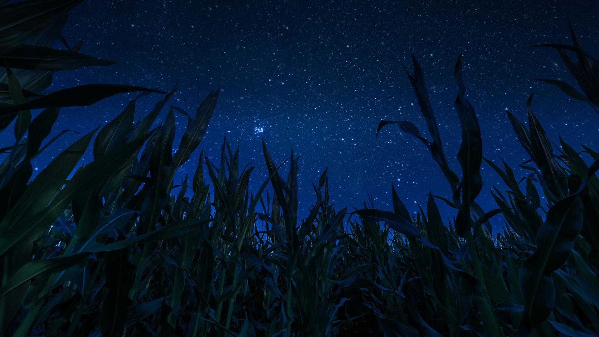 Home - Concert in the Corn - Northern Wisconsin Music Festival - August ...
